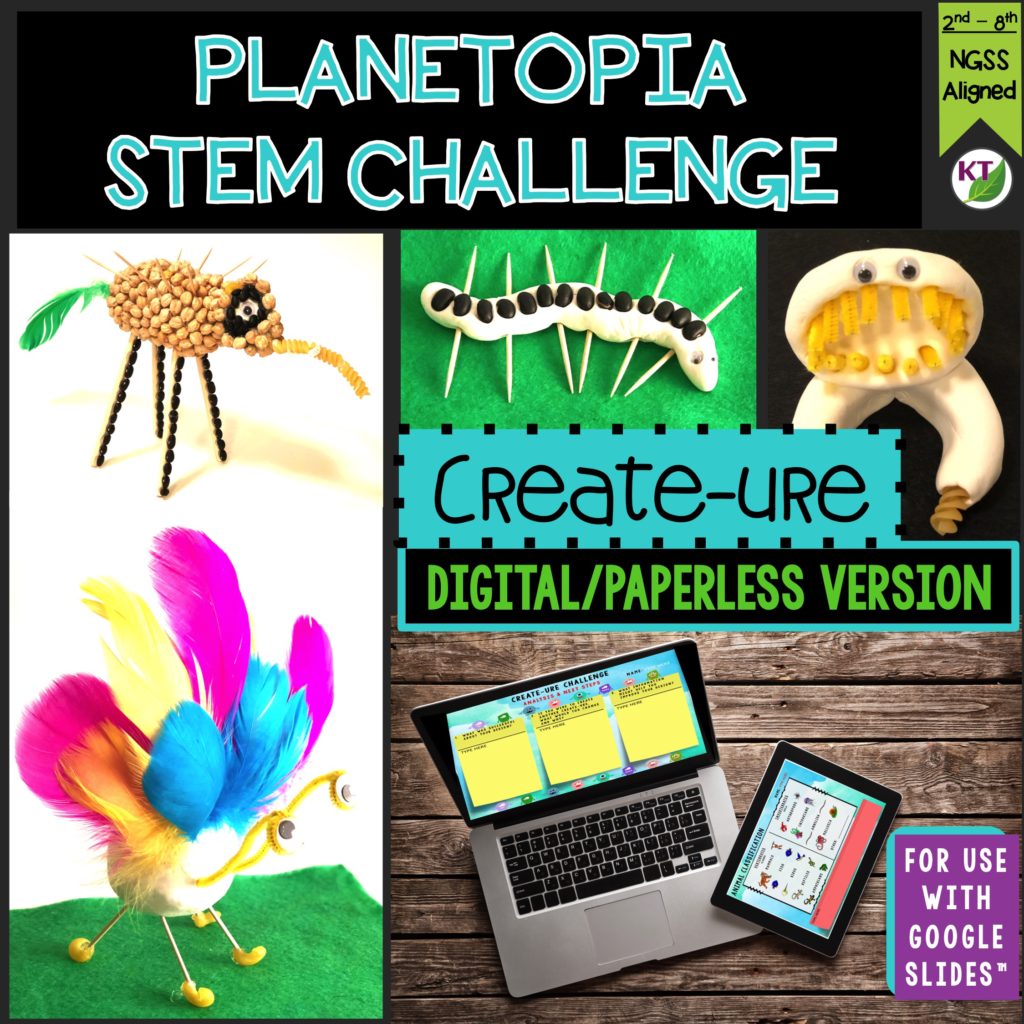 Create-ure STEM Challenge - Feel Good Teaching