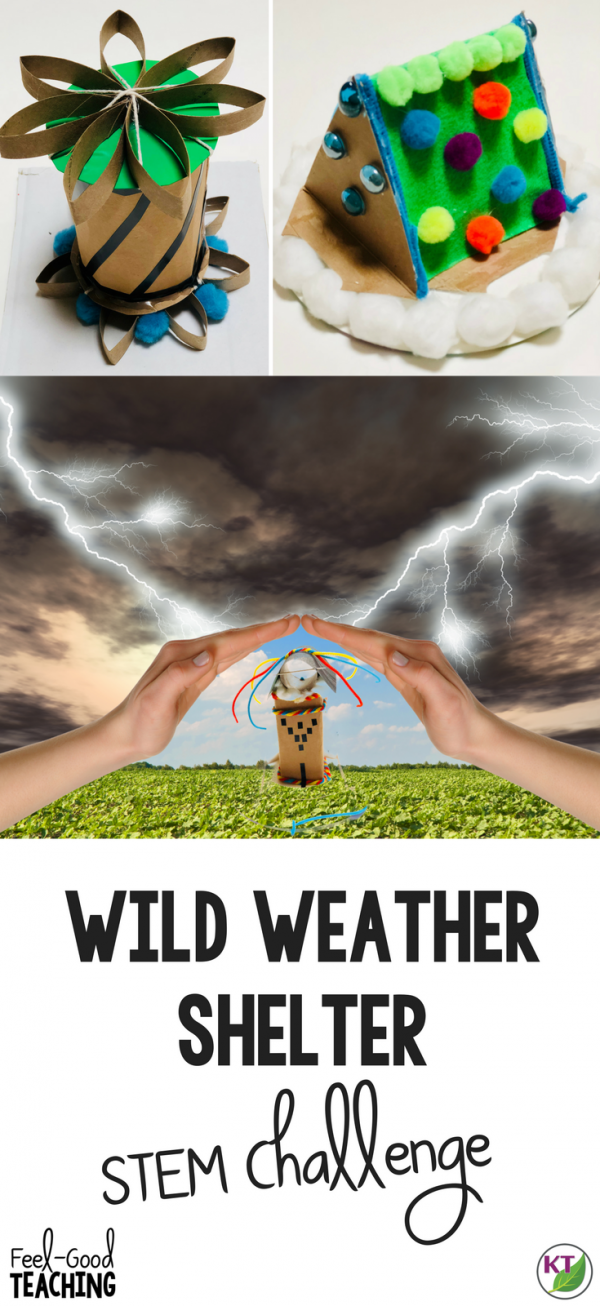 Wild Weather Shelter STEM Challenge - Feel Good Teaching